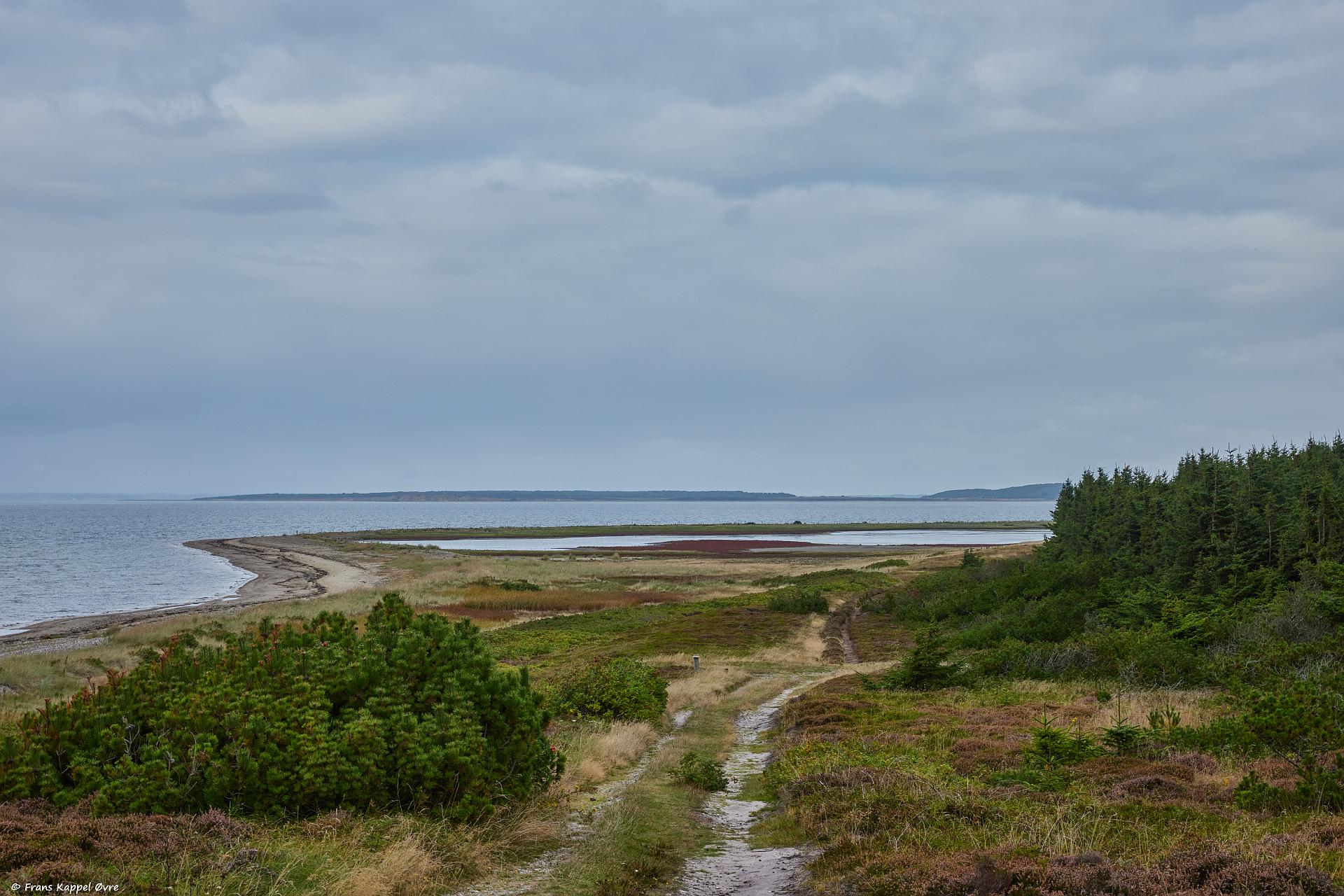 Struer